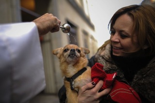Spain: Dogs, cats lined up to be blessed - P.M. News