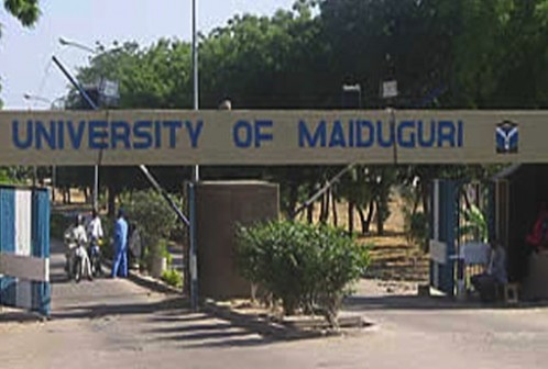 University of Maiduguri graduates 172 first class students - P.M. News