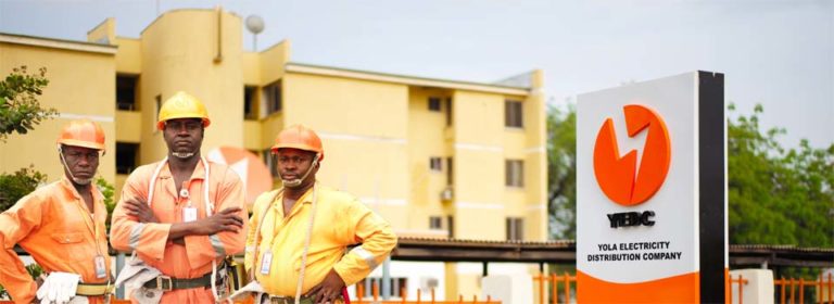 Russia 2018 World Cup: Yola football fans praise YEDC - P.M. News