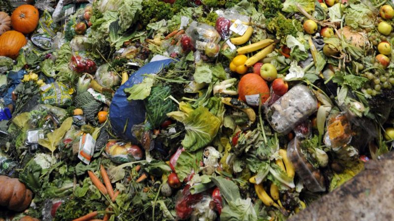 Association devises easy way to collect, dispose vegetables waste - P.M ...