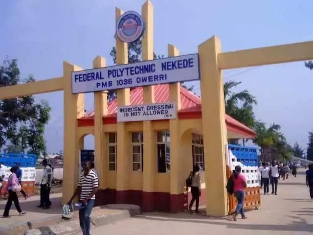 Federal Poly Nekede emerges best polytechnic in Nigeria – P.M. News