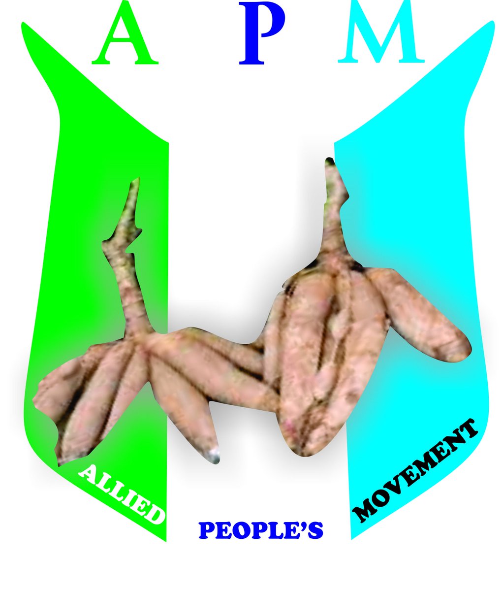 2019: Buhari receives endorsement letter from APM - P.M. News