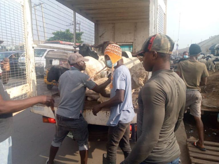 Lagos dislodges 10 illegal slaughter slabs, seizes 34 rams, goats - P.M ...