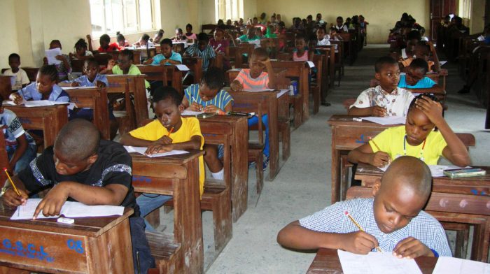 NECO releases 2023 common entrance results - P.M. News