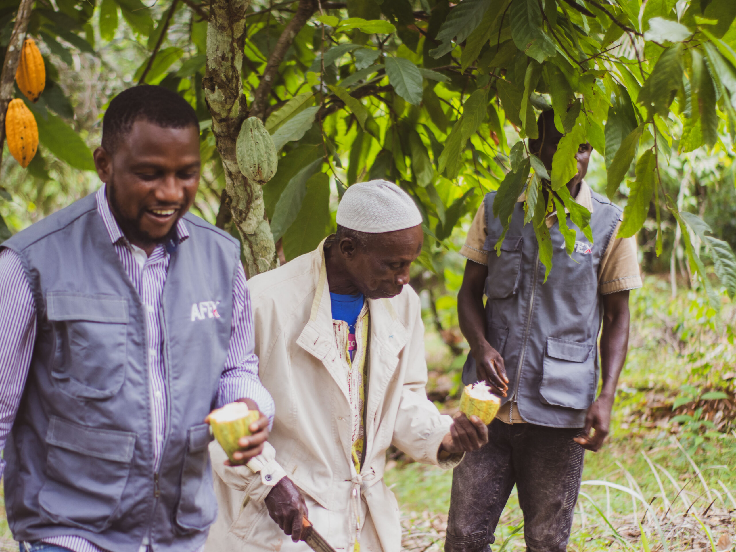 AFEX partners Niger State ministry of Agriculture - P.M. News