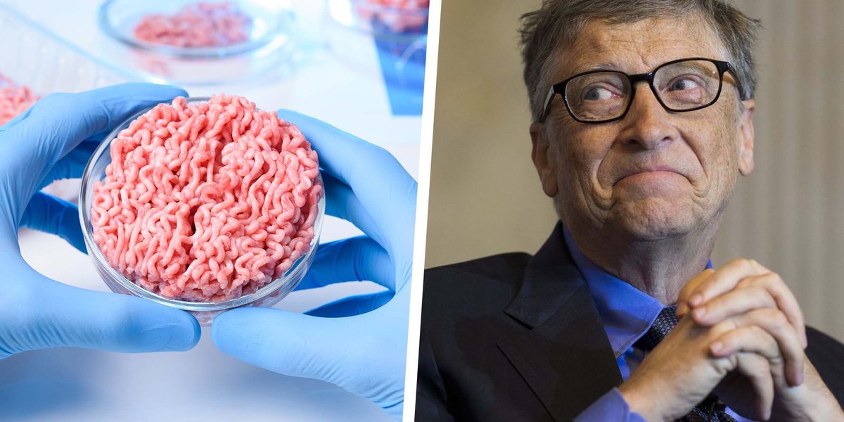 Bill Gates wants rich nations switch to synthetic beef to save the ...