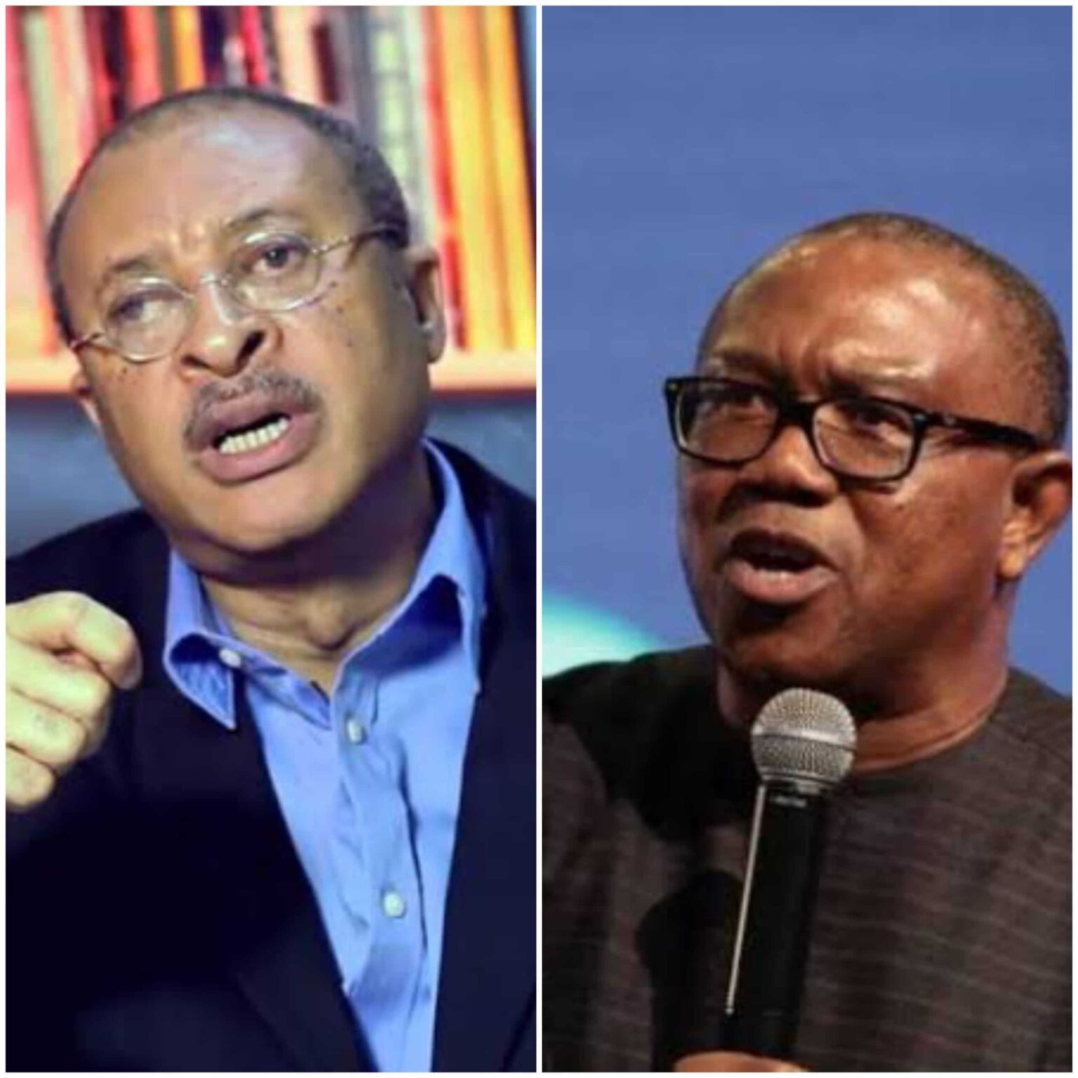 Peter Obi has better structures than Atiku, Tinubu - Pat Utomi - P.M. News