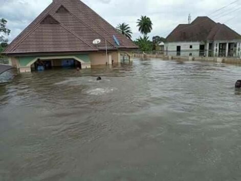 Flooding: Ogbaru going under water – Ex-council boss – P.M. News