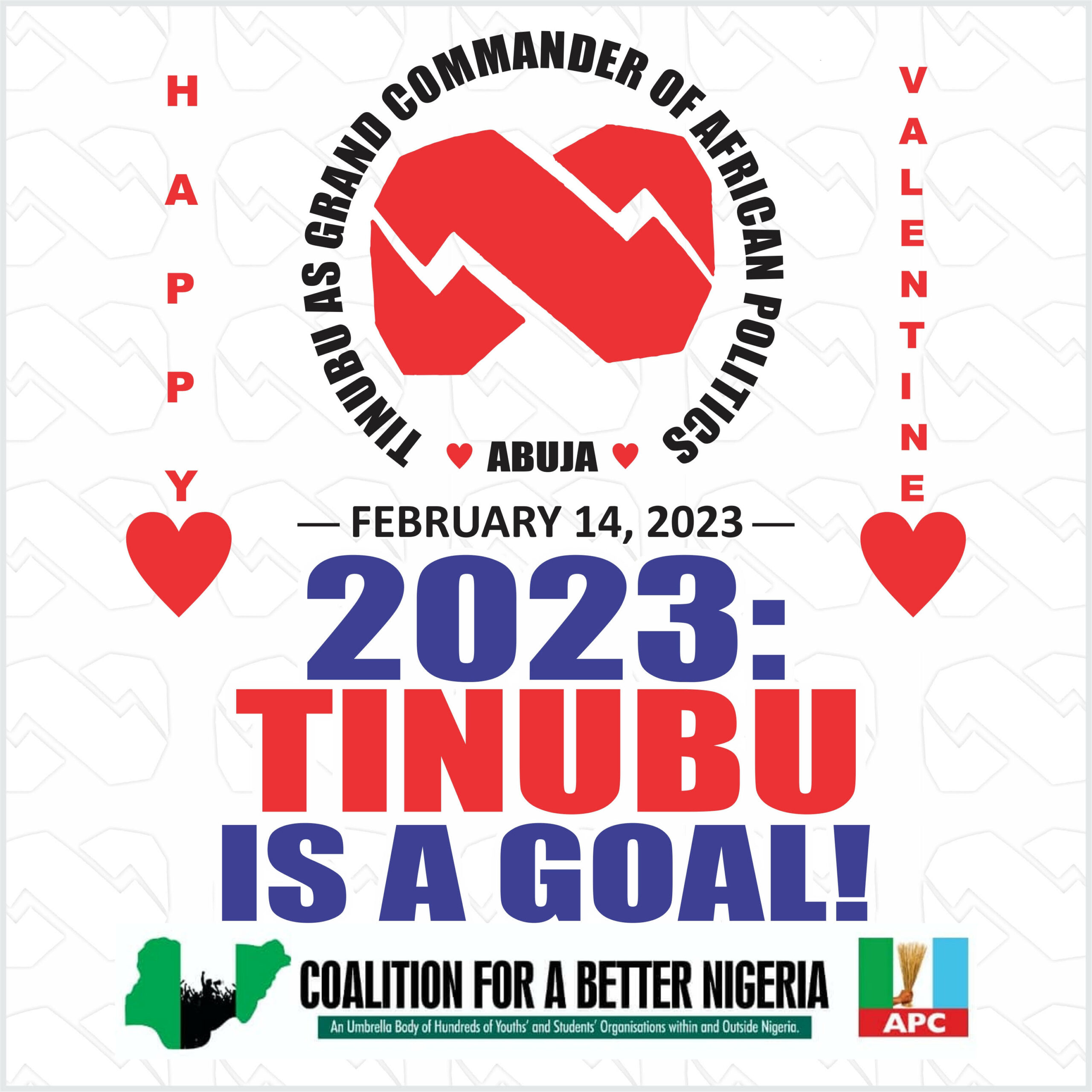 Activists launch movement, honour Tinubu with unique award - P.M. News