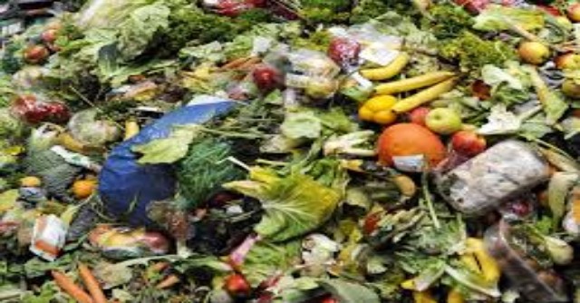Reasons food waste should be avoided during yuletide - Global warming ...