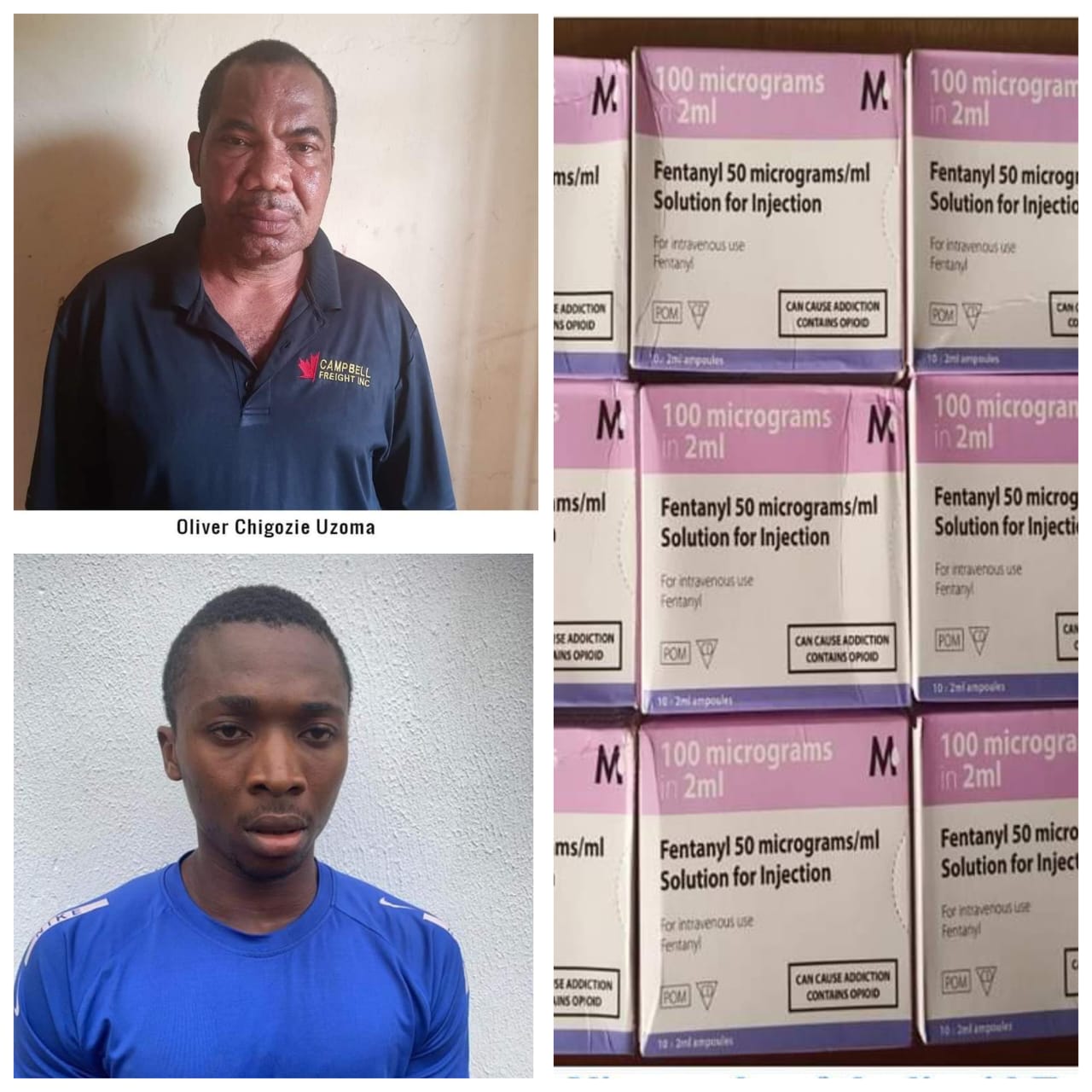 NDLEA busts lethal drug syndicate, arrests members in Anambra - P.M. News