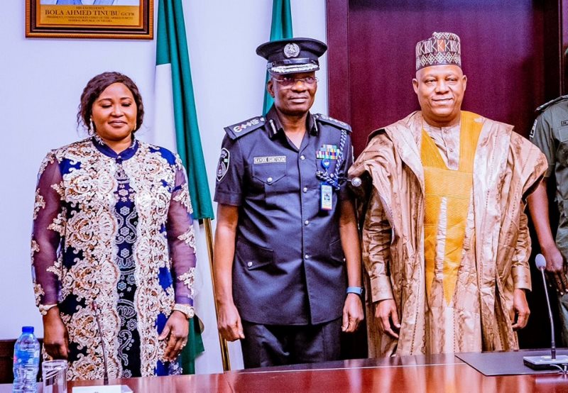 Breaking: Shettima decorates Acting IGP Kayode Egbetokun (Photos) - P.M ...
