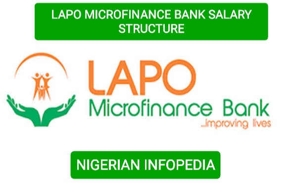 LAPO disburses N74bn loan to MSMEs in Q1 - P.M. News