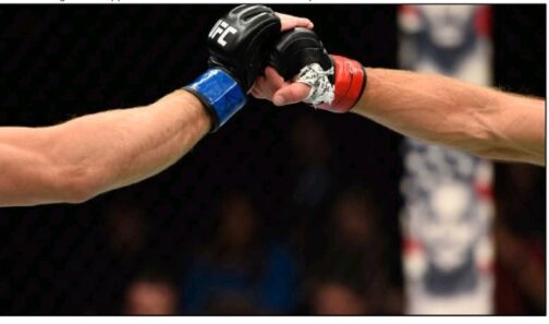 What are the most important rules seen in MMA fights? - P.M. News