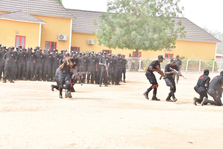 NDLEA recruits 2, 428 personnel - P.M. News