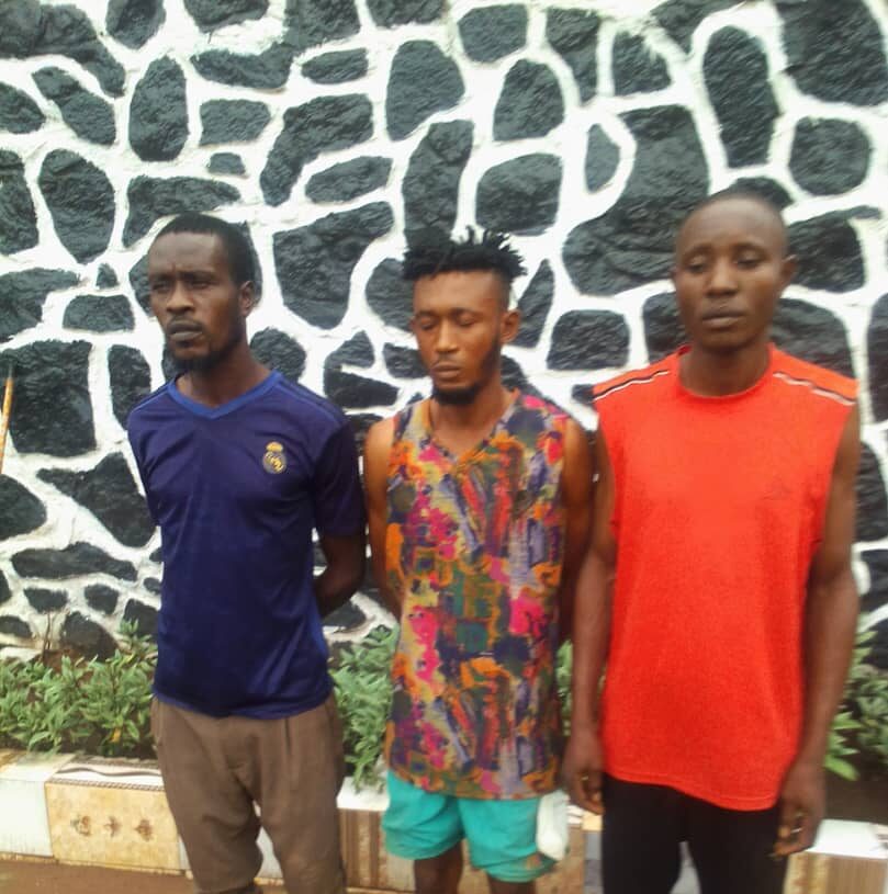 Police arrest 3 alleged members of Eiye cult gang in Ogun – P.M. News