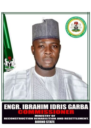 Investigation begins as Borno commissioner Idriss-Garba dies ...
