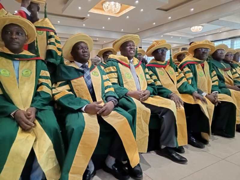 Solaire Logistics Director James Adeyemi bags honorary Doctorate degree ...