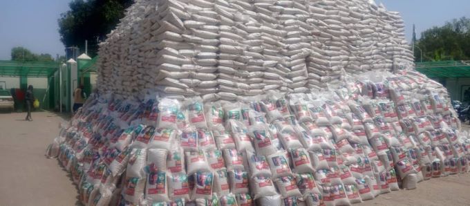 Gov. Yusuf distributes 387, 200 bags of rice, maize in Kano - P.M. News