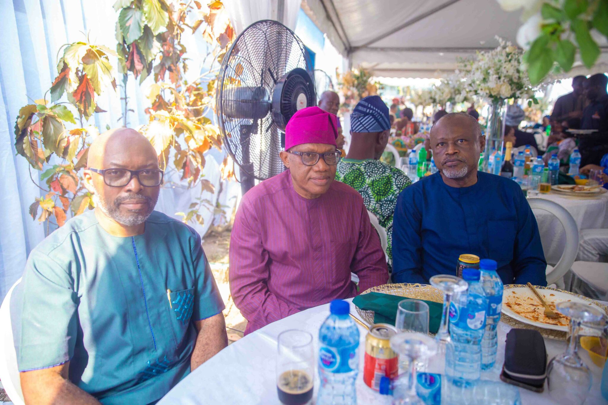 Fun, tributes as Wole Soyinka, family bid Tinuola Aina farewell - P.M. News