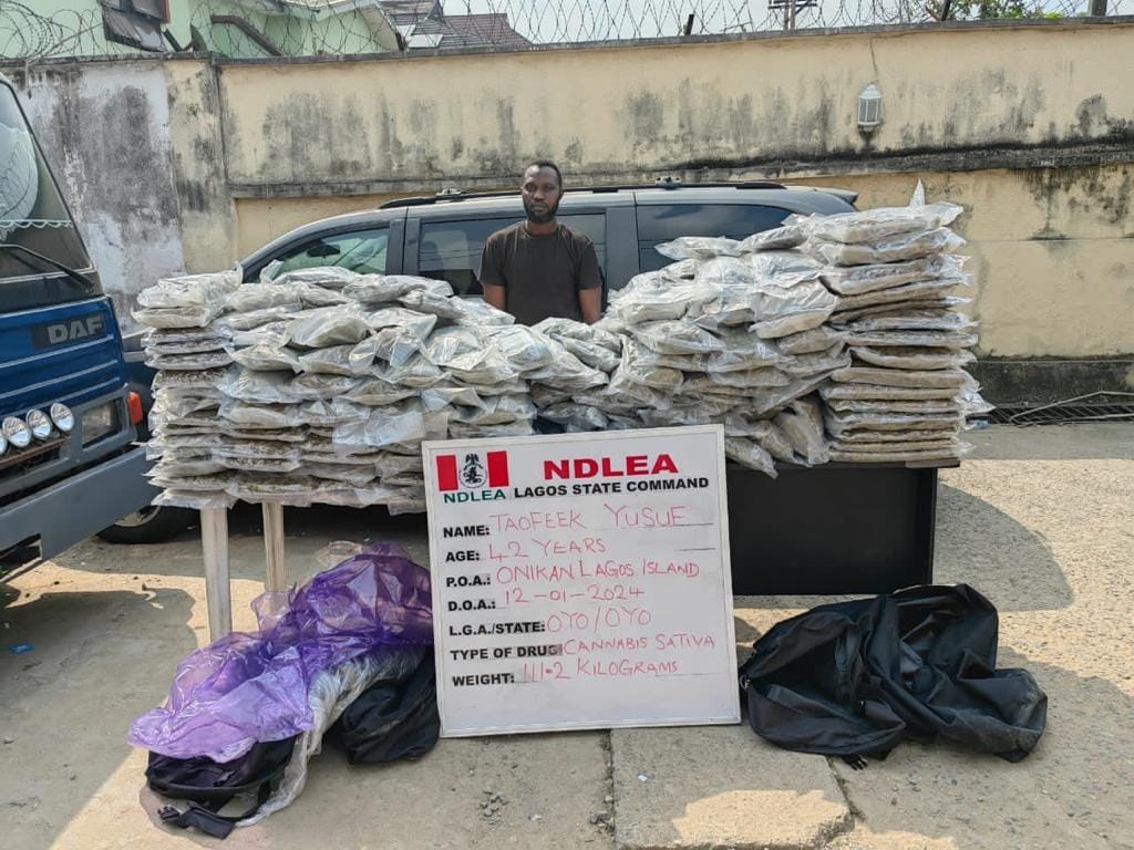 NDLEA intercepts large consignment of Canadian Loud in Lagos