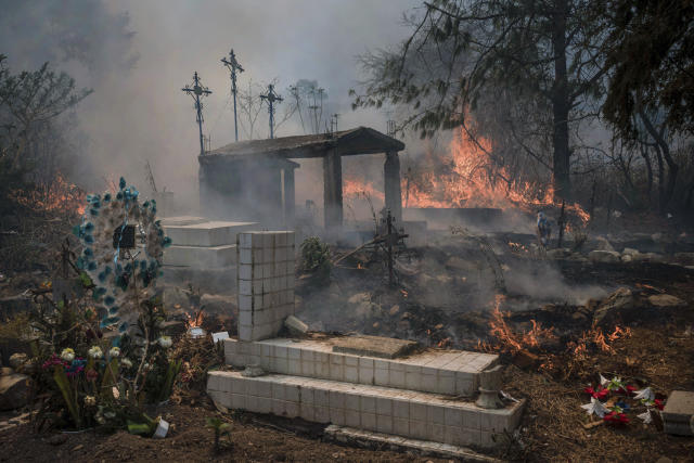 Forest fires ravage19 states in Mexico