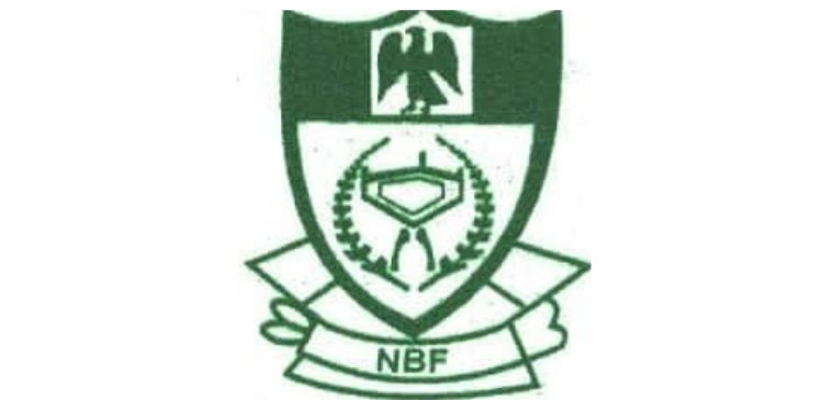 Nigeria to feature six boxers for Olympic Qualifiers – NBF scribe - P.M ...