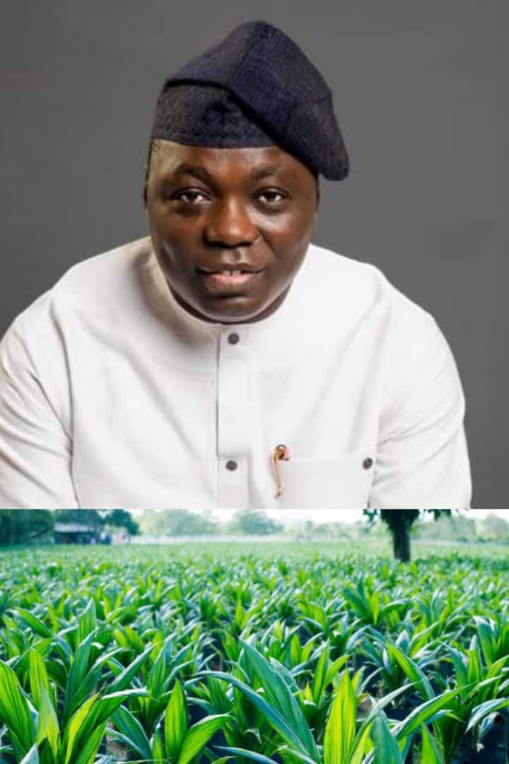 Taraba Governor Agbu Kefas's Silent Climate and Agricultural Revolution ...