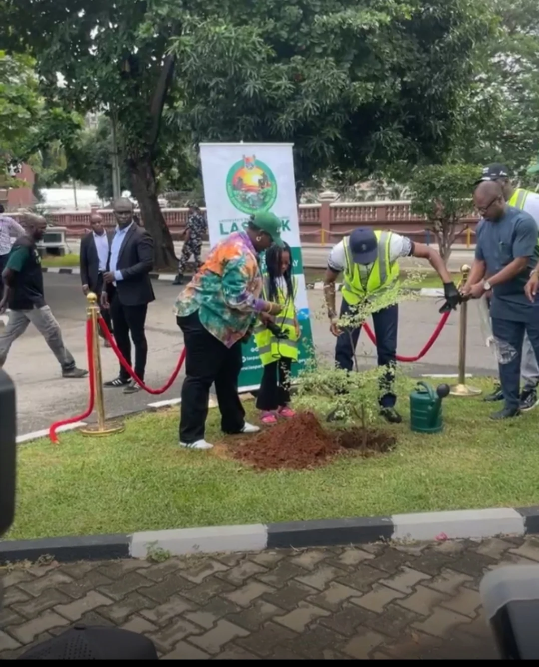 Climate change: Lagos to plant 5,000 trees in one year - P.M. News