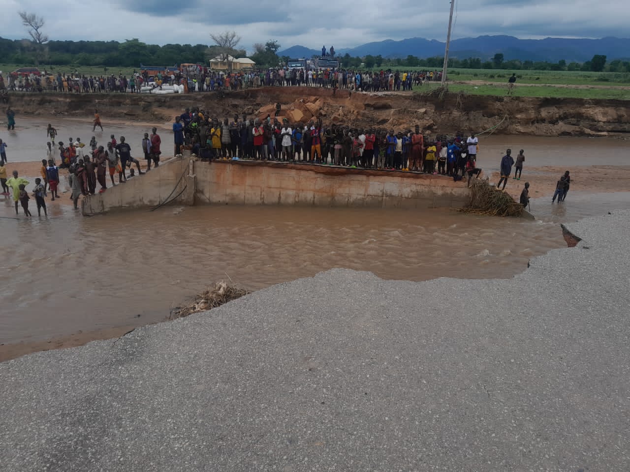 Tinubu approves reconstruction of Wagga bridge linking Adamawa, Borno ...