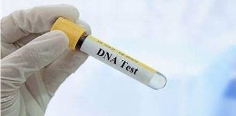 25 per cent paternity tests negative - DNA Centre - P.M. News