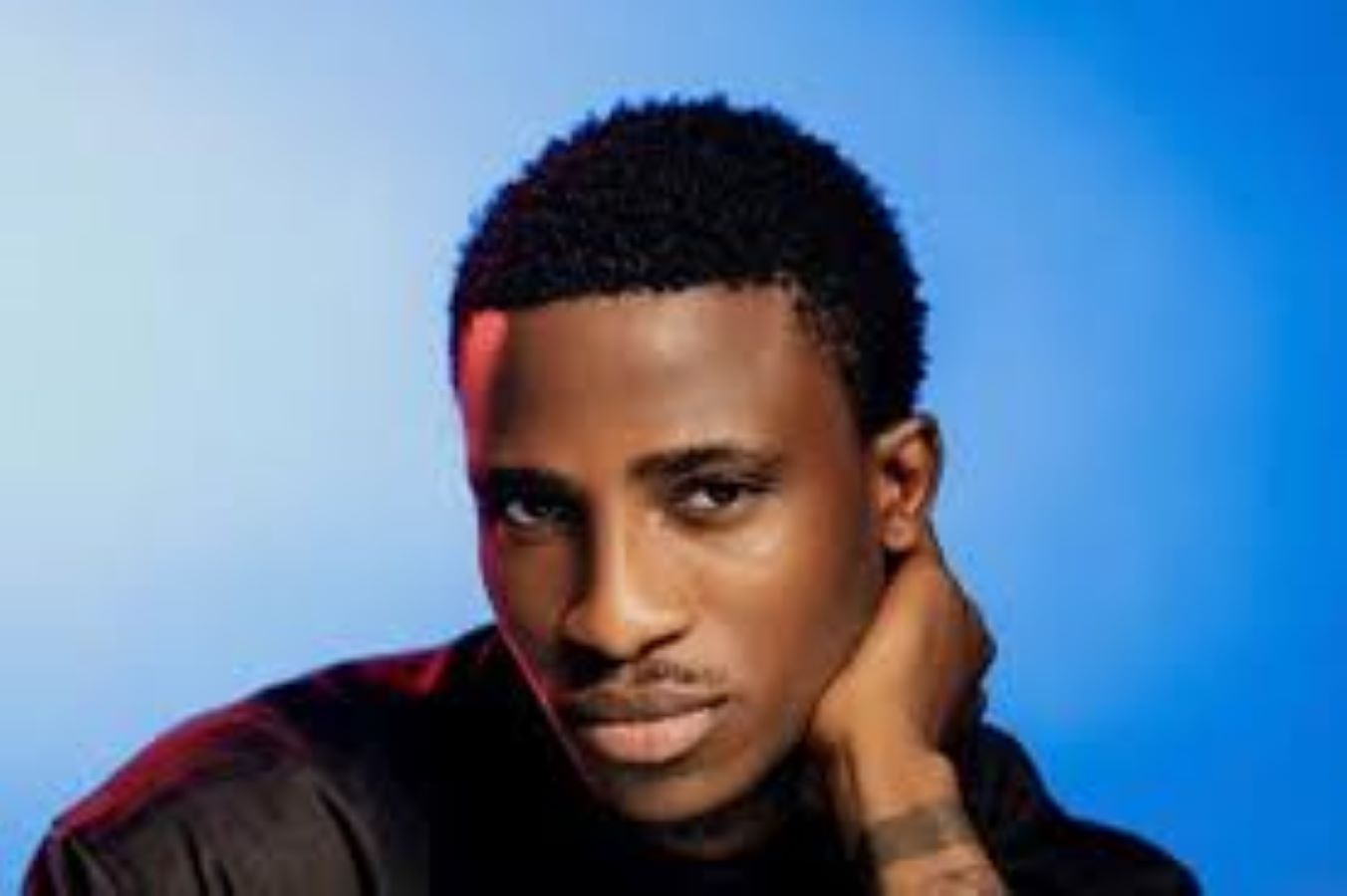 Nollywood actor Alesh Sanni slams 14-year sentence for fowl theft