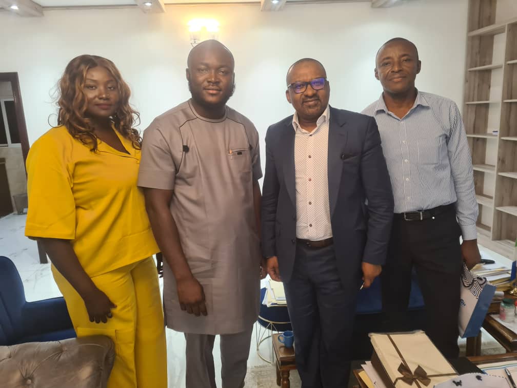 Nigerian billionaire, Kwati, proposes $5bn investment in Sierra Leone’s ...