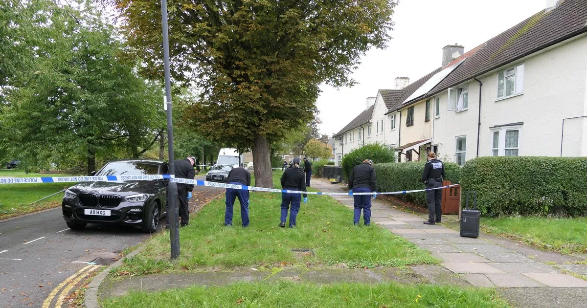 How we got information about Tottenham murder - Police - P.M. News