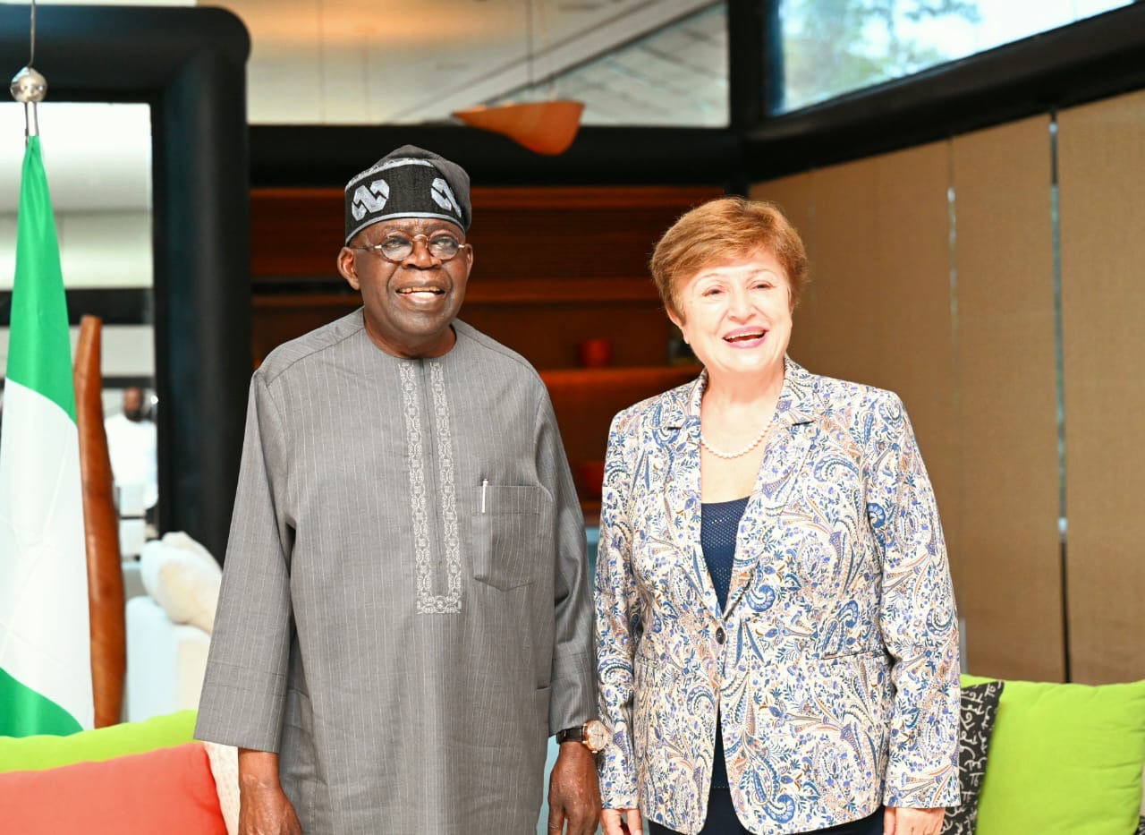 'My reforms yielding positive results,' Tinubu tells IMF boss - P.M. News