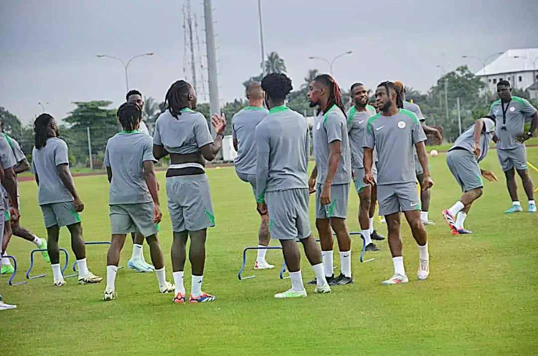 Super Eagles International Friendlies: Super Eagles to play Venezuela & C