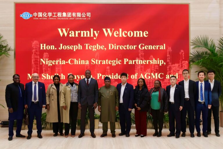 AGMC, CNCEC seal deal for game-changing $20bn Ogidigben Gas Park in ...