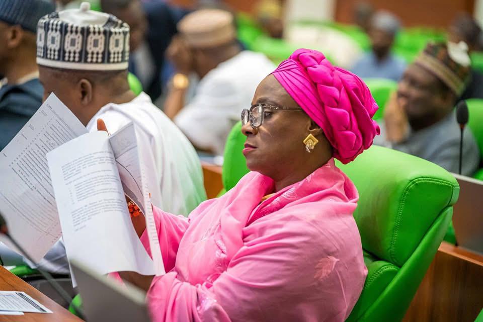 House of Reps deputy chief whip Adewunmi Onanuga is dead - P.M. News