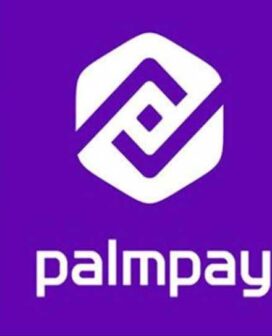 Why millions of Nigerians are switching to PalmPay – P.M. News