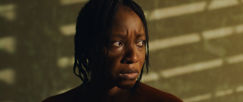 Nemsia unleashes explosive trailer for 'The Fire and The Moth' - P.M. News