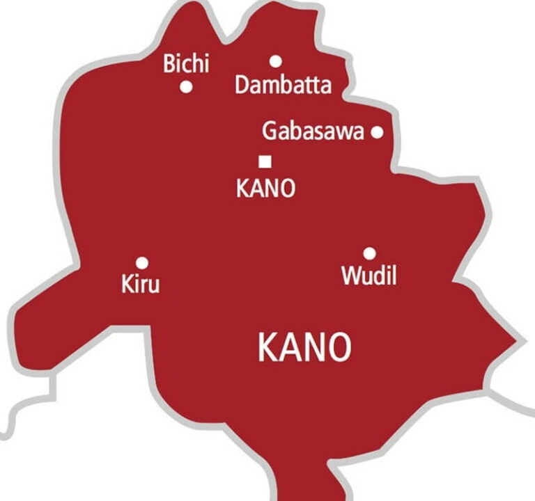 Police nab suspected car thieves, recover 3 stolen vehicles in Kano - P ...