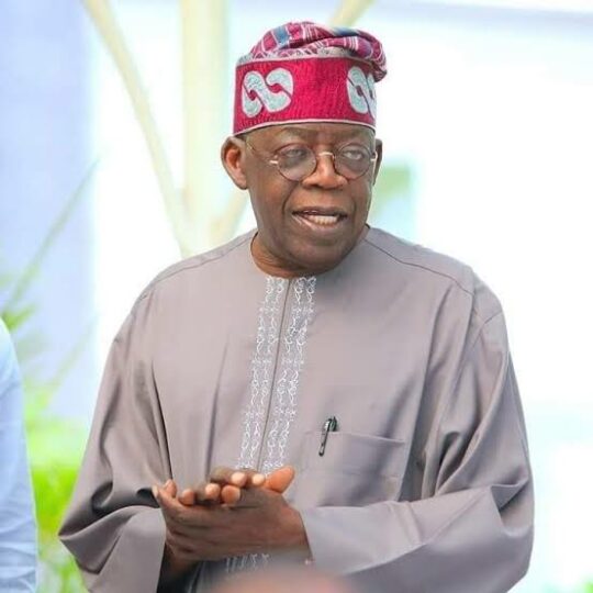 A heartbreaking loss’: Tinubu mourns The Nation journalist - P.M. News