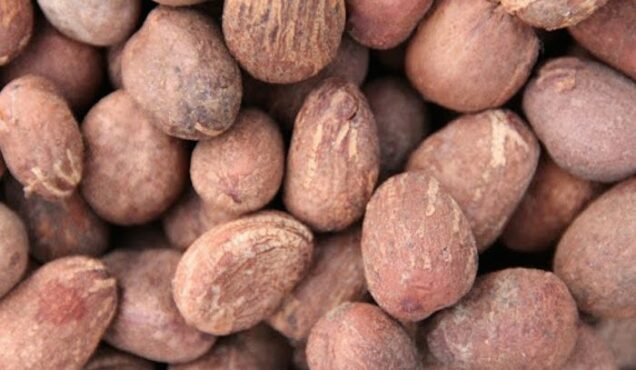 Tinubu orders temporary ban on export of raw shea nuts - P.M. News