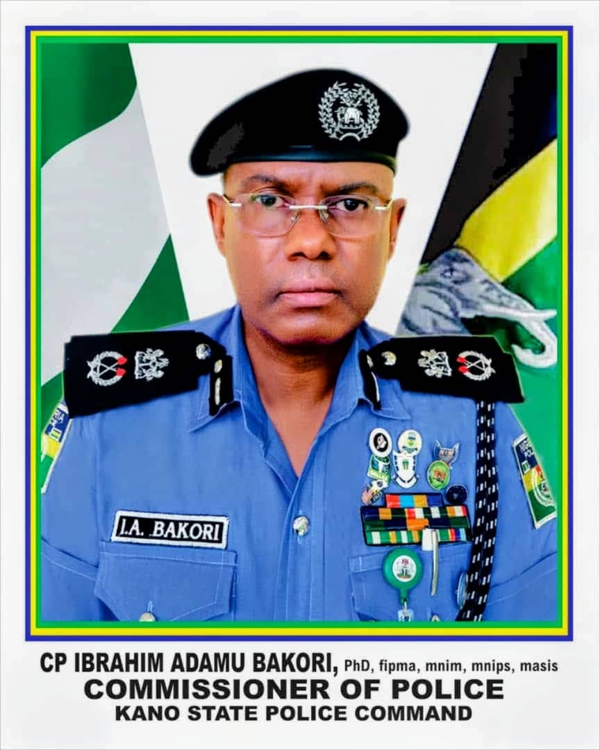 Police nab auto-technician turned car thief in Kano - P.M. News