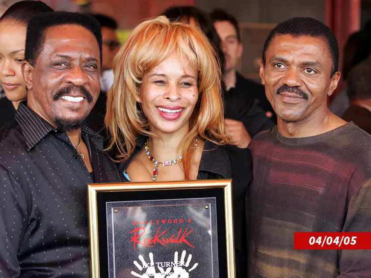 Tina Turner’s son, Ike Turner Jr is dead - P.M. News