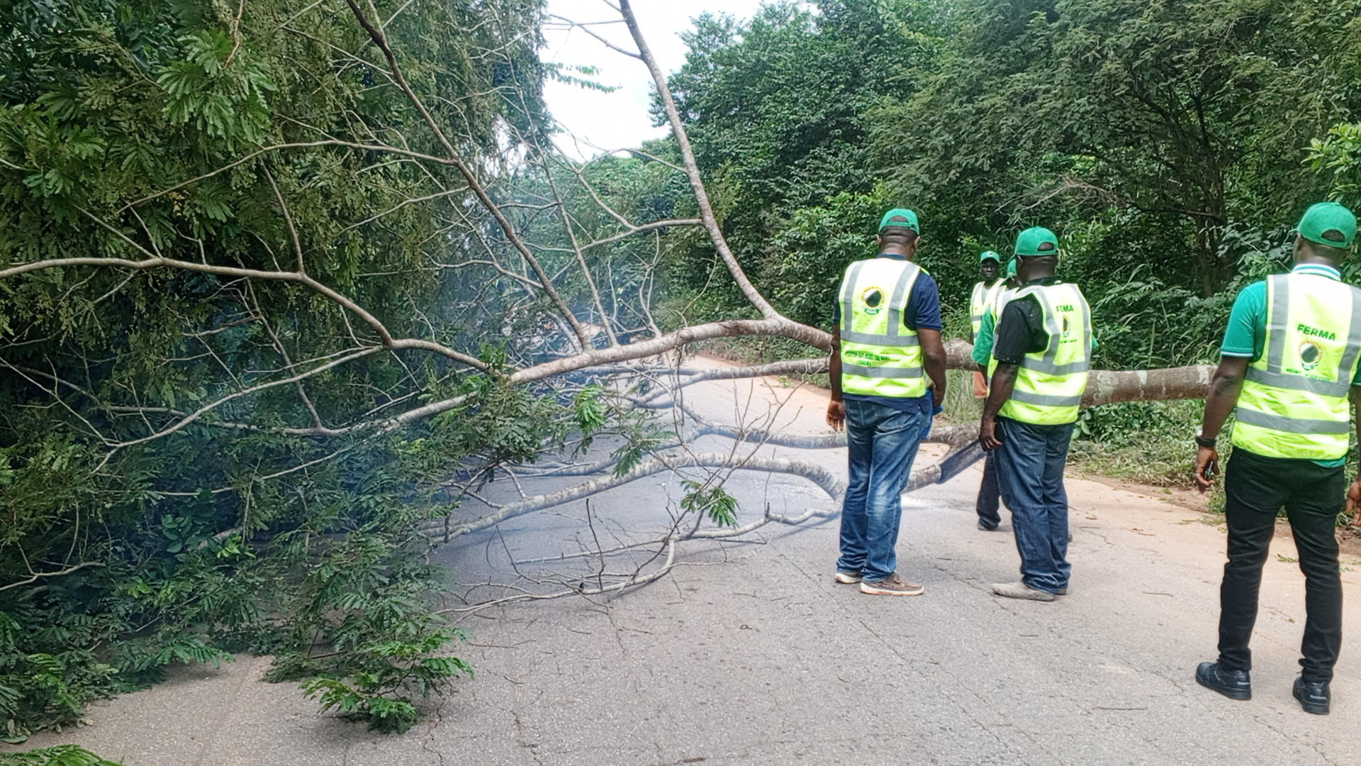 Bushes Out, Safety In: Ogun highways undergo FERMA rescue operation - P ...