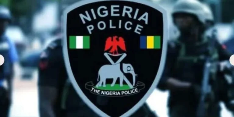 Criminal hideouts hit as police arrest 10 suspects in Jigawa - P.M. News