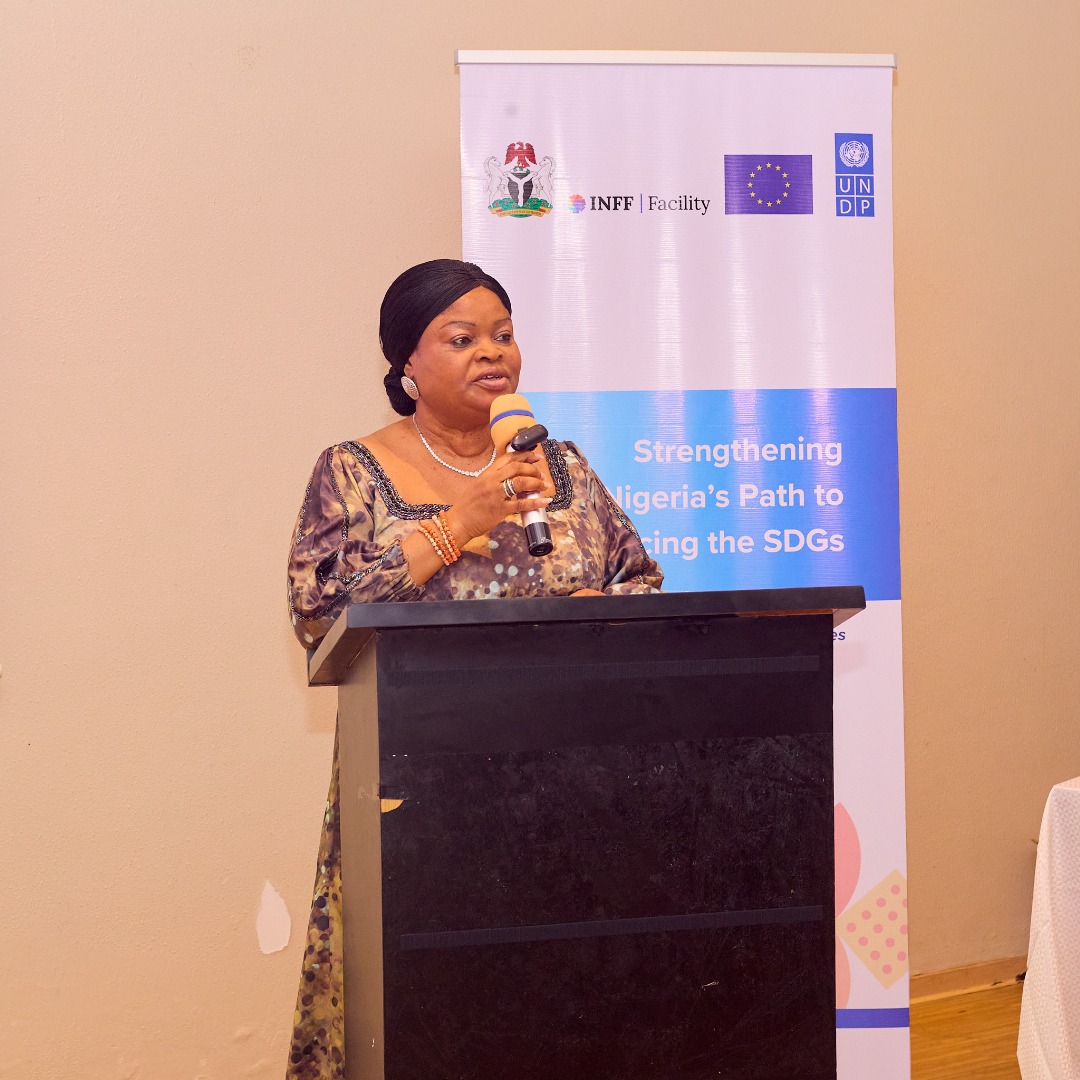 SDGs: Nigeria moves to fix development financing gaps through INFF - P ...