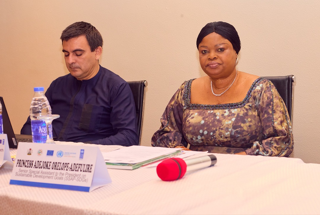 SDGs: Nigeria moves to fix development financing gaps through INFF - P ...