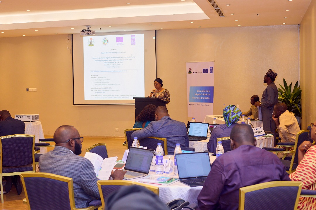 SDGs: Nigeria moves to fix development financing gaps through INFF - P ...